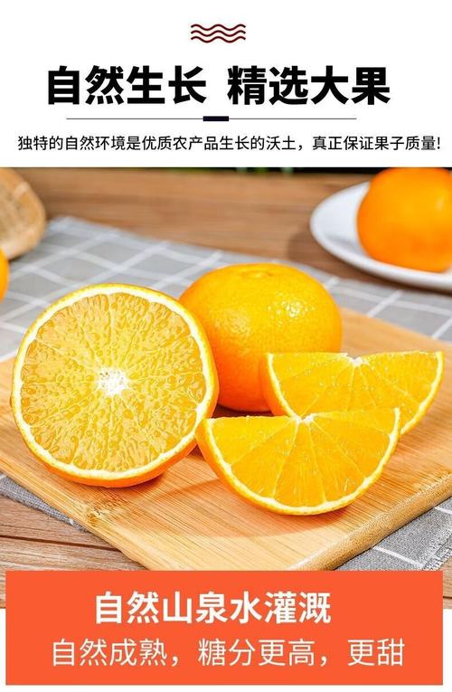 小橙子国体直装图标