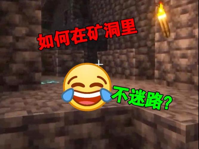 我的世界不敢下矿洞怎么办图标