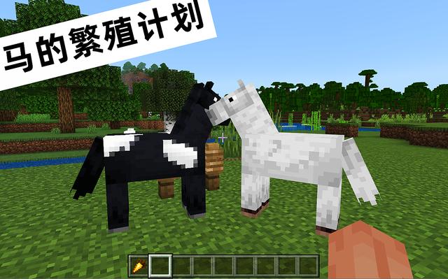 我的世界怎么繁殖好马图标