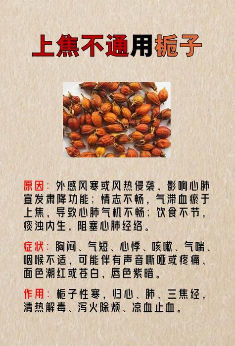 栀子泡水喝的功效图标