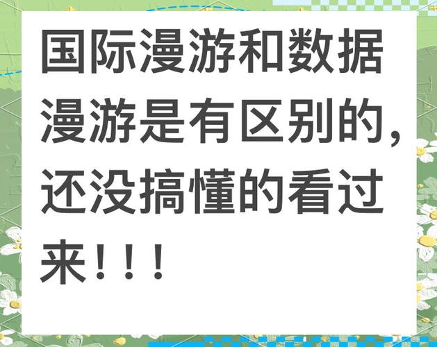 数据漫游是国际漫游吗图标