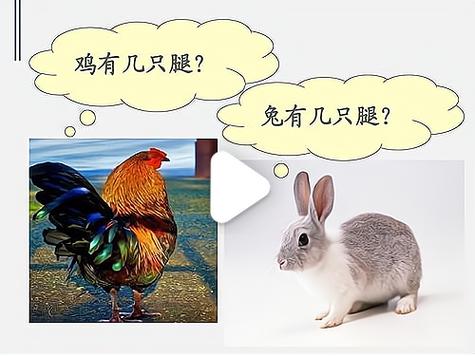 兔和龙可以合伙做生意吗图标