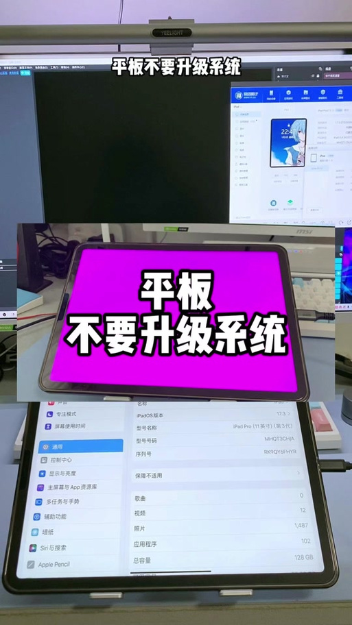 苹果平板闪退的原因图标