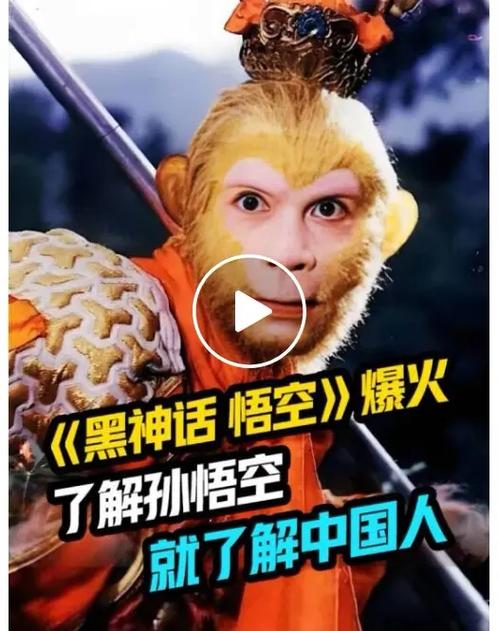 悟空v15.9.0官方下载图标