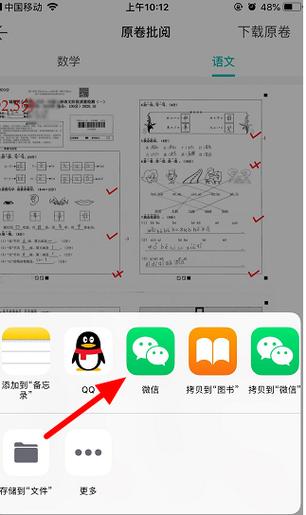 zhixuecom查询成绩学网图标