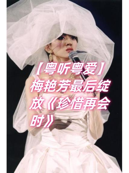 粤爱看视频图标
