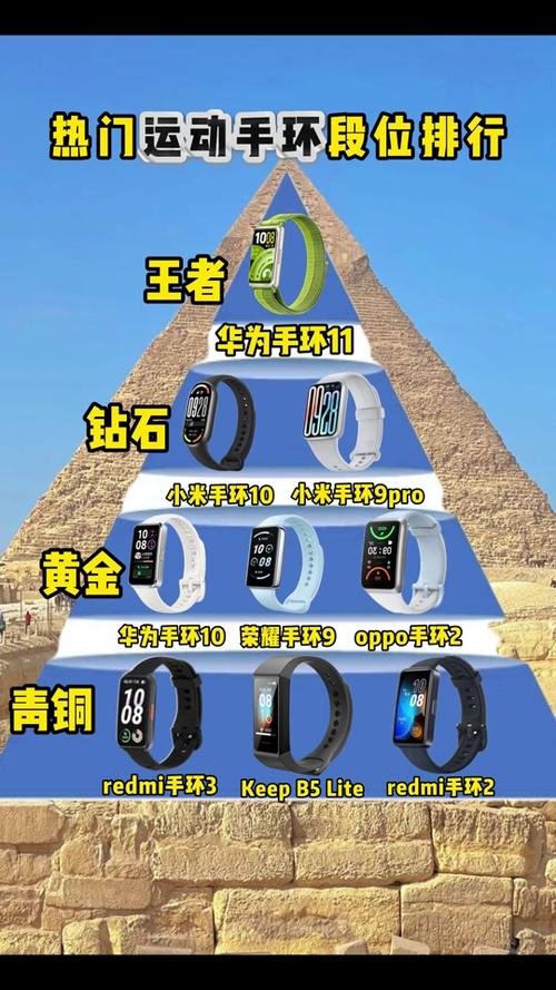 华为手环都有什么功能图标