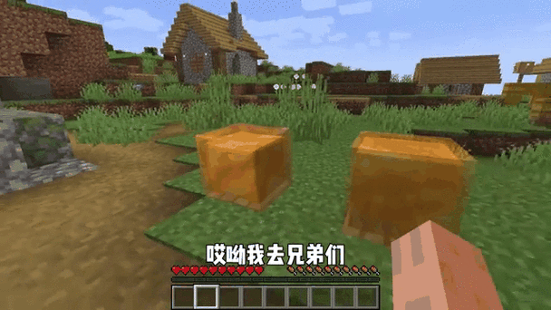 mc蜂蜜女王怎么找截图
