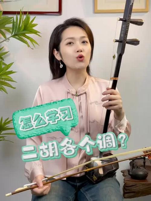 二胡音量小解决方法