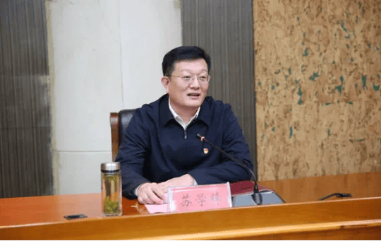山东副厅长全部名单图标