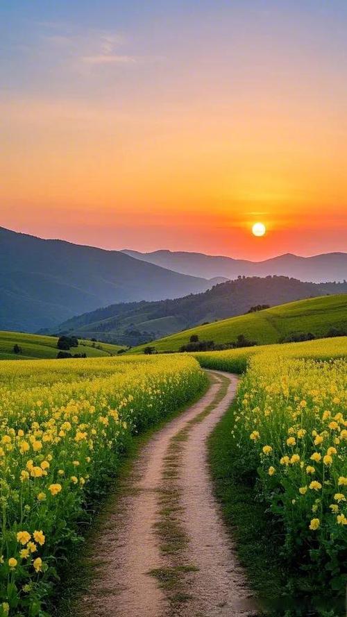 乡间小路怎么发朋友圈截图