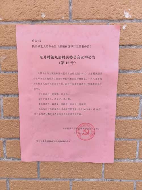 怎么才能让村民升级图标