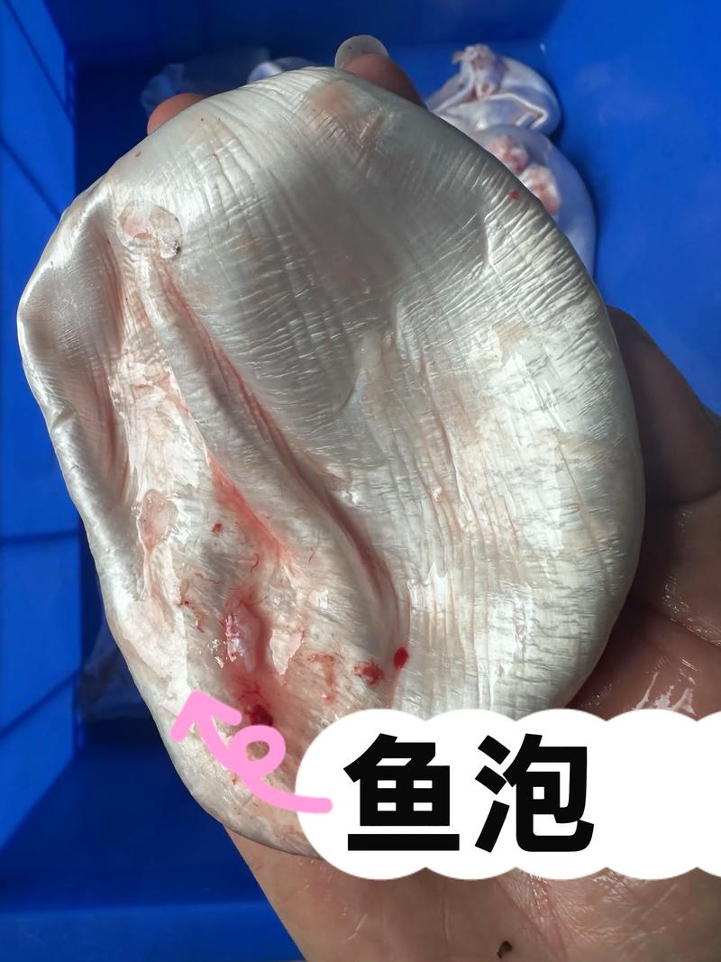 鱼泡泡202012截图