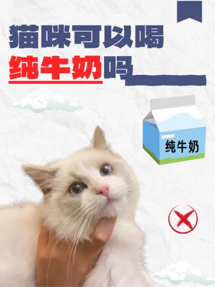 美短猫能喝纯牛奶吗图标