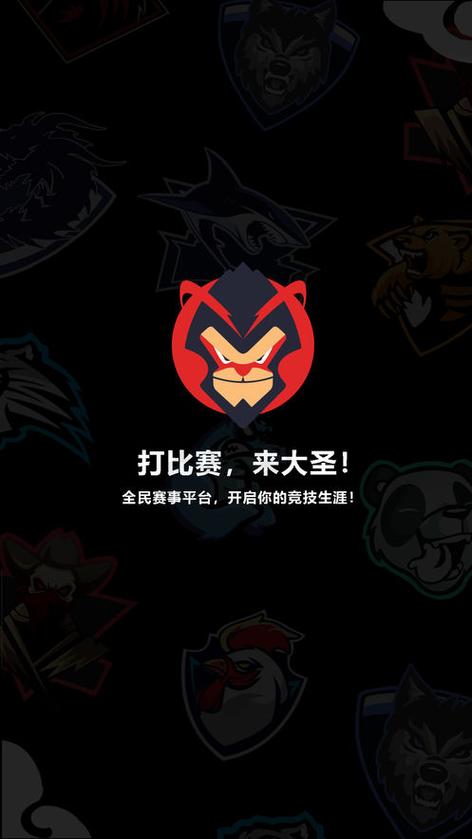 大圣电竞官方版图标