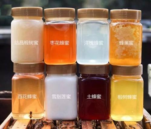 蜂蜜最正宗的颜色图标