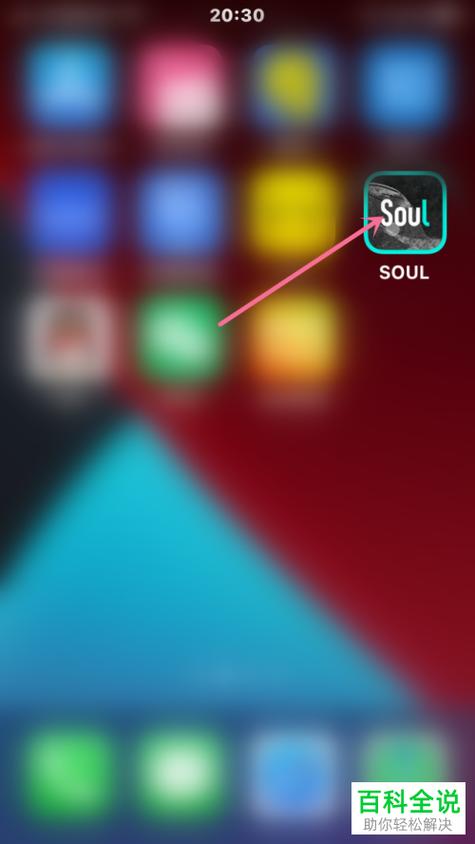 soul怎么改绑定的手机号图标