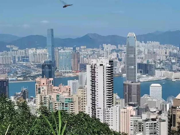 梦起香江txt截图