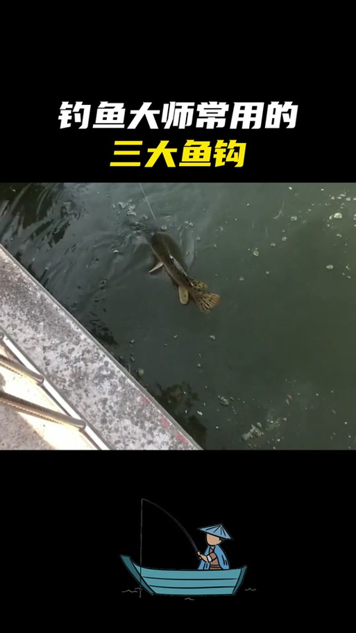 0.1号袖钩钓什么鱼截图