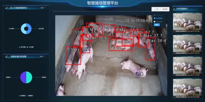 智慧养殖涉及哪三个大方面图标