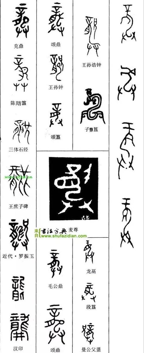 养龙是什么意思图标
