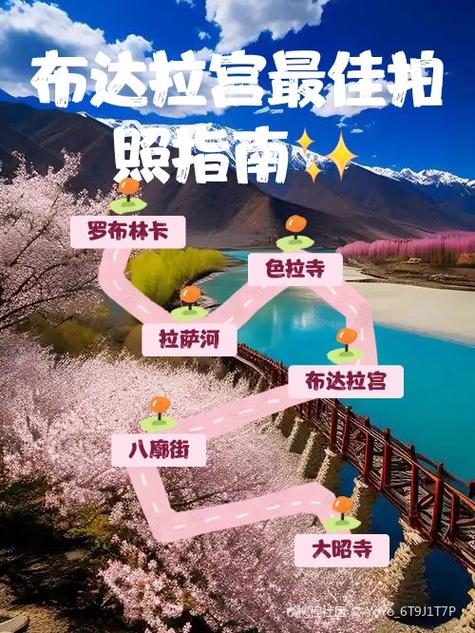 单反相机按哪个键拍照图标