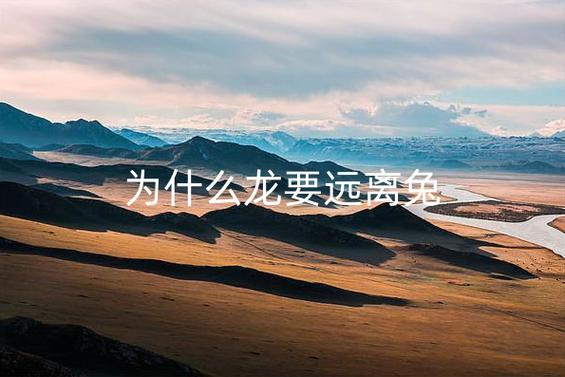 为什么龙要远离兔图标