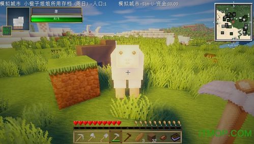 我的世界模拟城市扩展截图