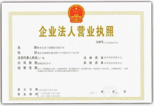 有限公司法人图标