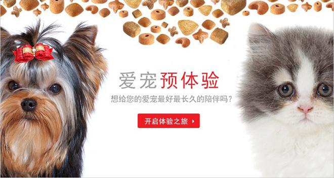 爱宠网官方网站图标