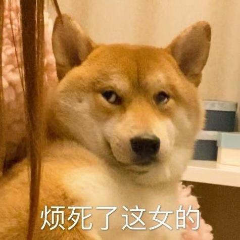 狗狗讨厌你的表现截图