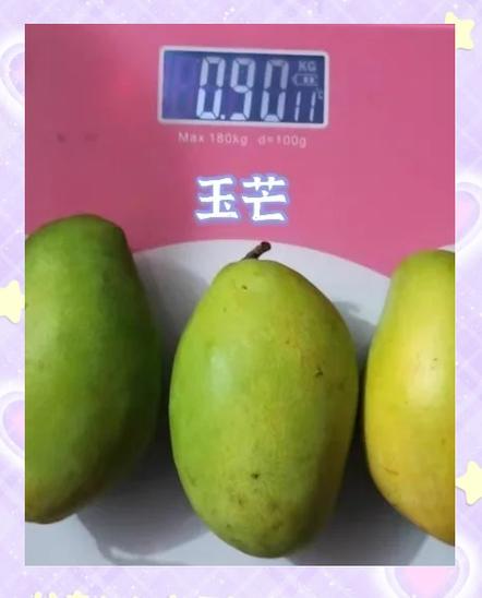 芒果青芒红包是干嘛的图标