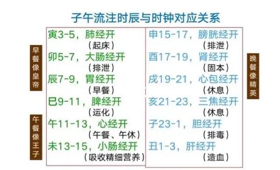 时间节点在医学中的体现