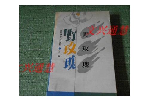 野玫瑰小说图标