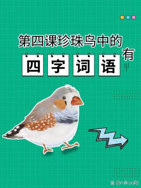 鸟叫声音的词语