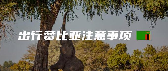 赞比亚打工的10大忠告图标