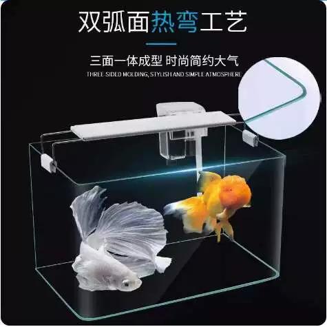 热弯缸什么意思截图