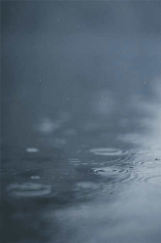下雨高清动态壁纸
