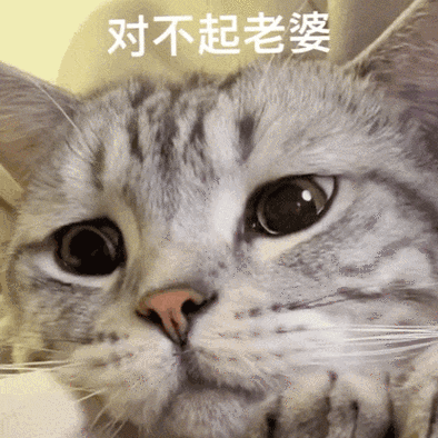 2025最火道歉表情包图标