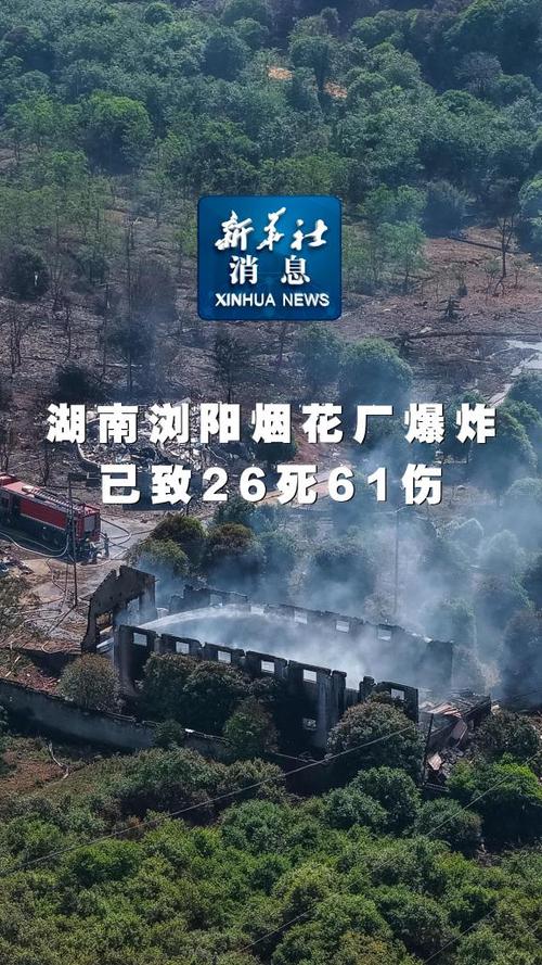 长沙官方回应浏阳烟花厂爆炸图标
