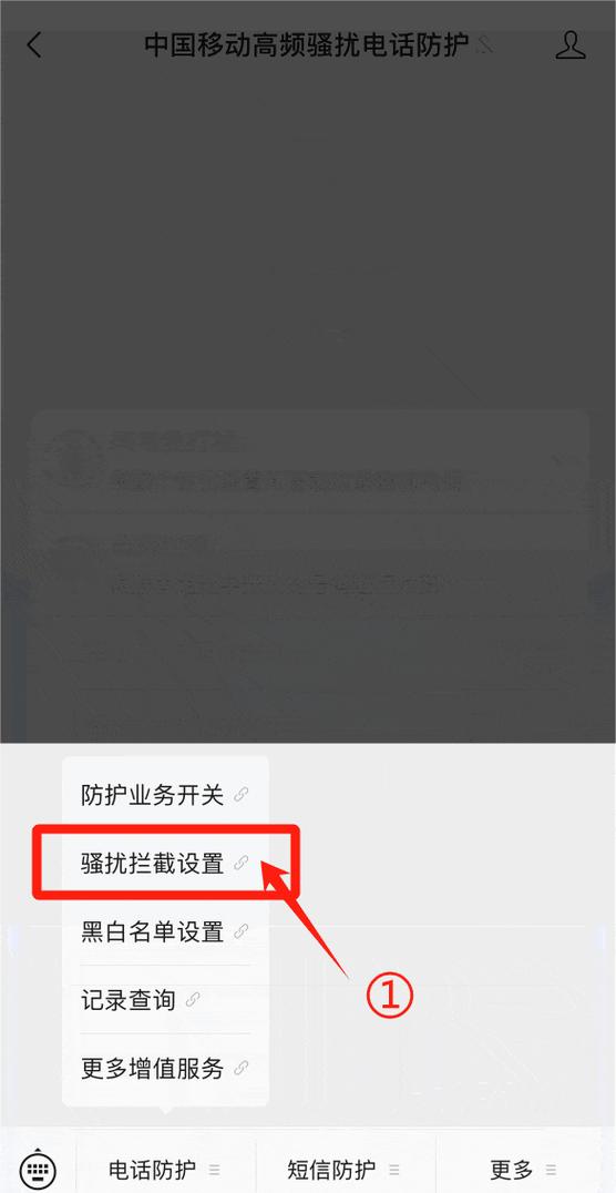 怎样关闭境外来电功能设置图标