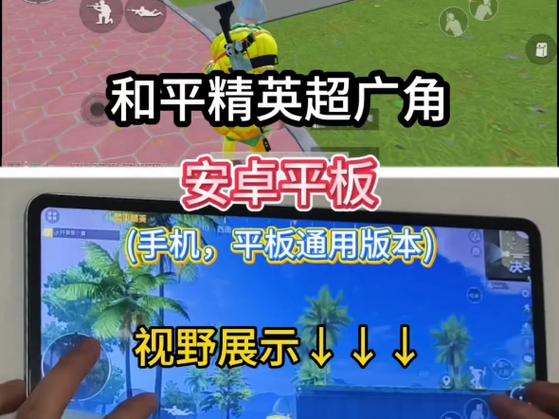 和平精英超广角助手免费图标