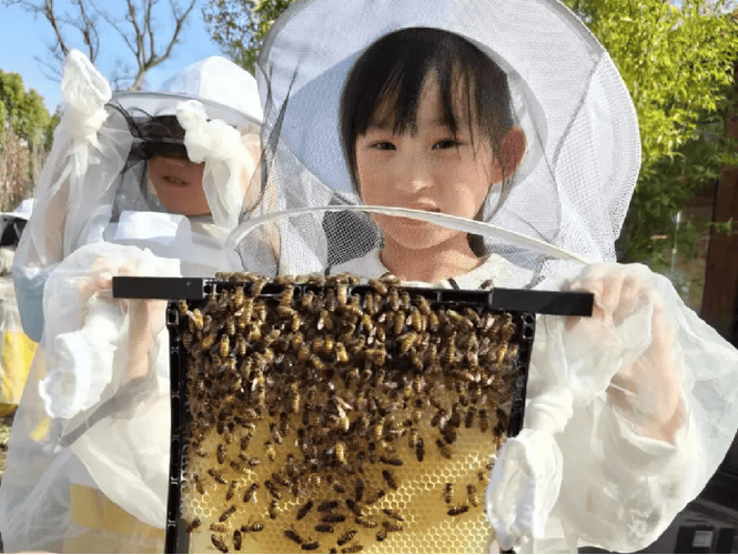 小蜜蜂指的是哪种人图标