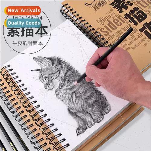 sketchbook图标