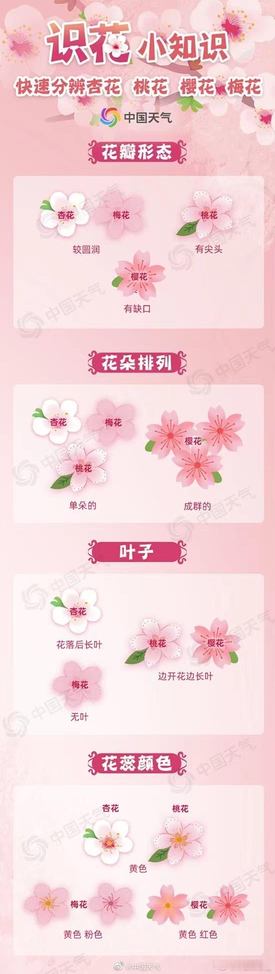 特殊符号花瓣符号图标