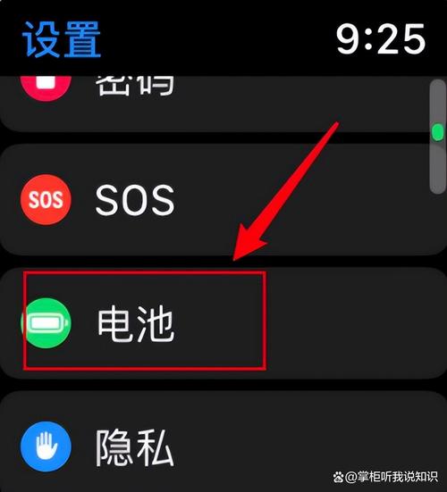 苹果手表怎么查看电池健康图标