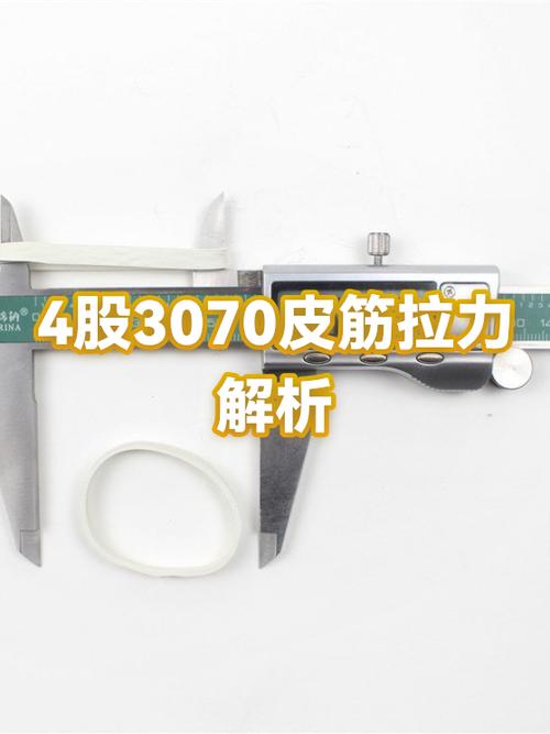 皮筋中拉19和22哪个好截图