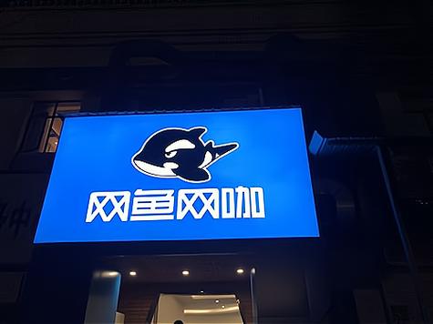 网鱼网咖加盟费多少钱图标