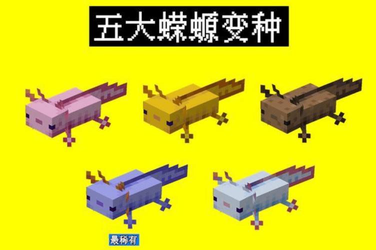 我的世界里有多少种常见的动物