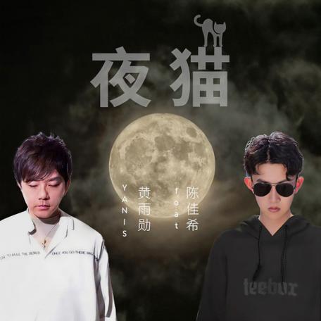 夜猫歌曲的原唱图标